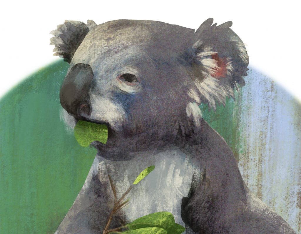 Simon Sturge Illustration Studio – the art of Sturges