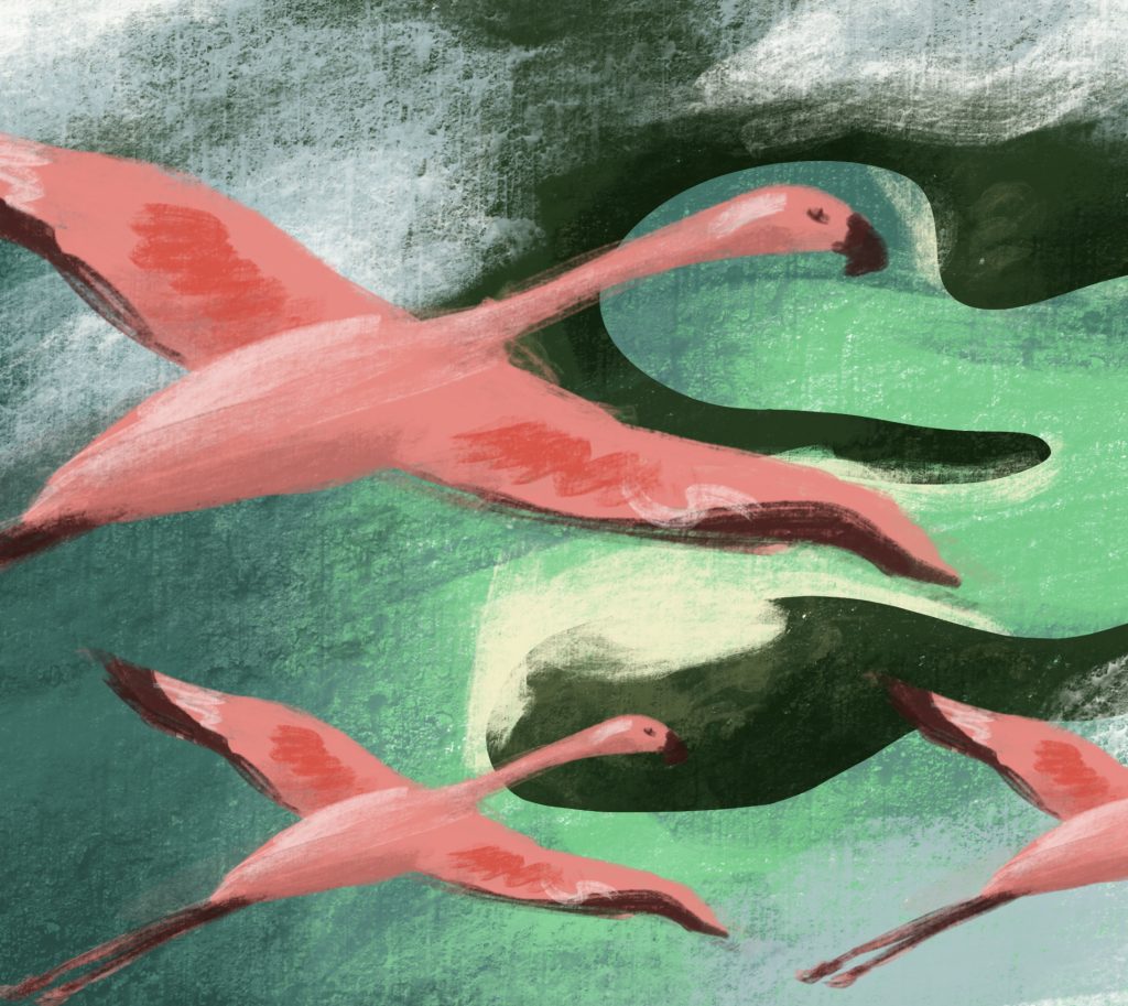 Simon Sturge Illustration Studio – the art of Sturges